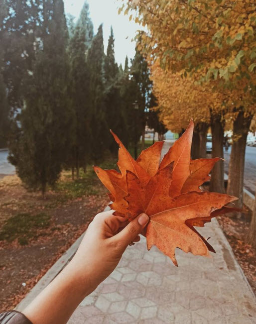 عکس هنری ️ 50 عکس پروفایل هنری سال 2020