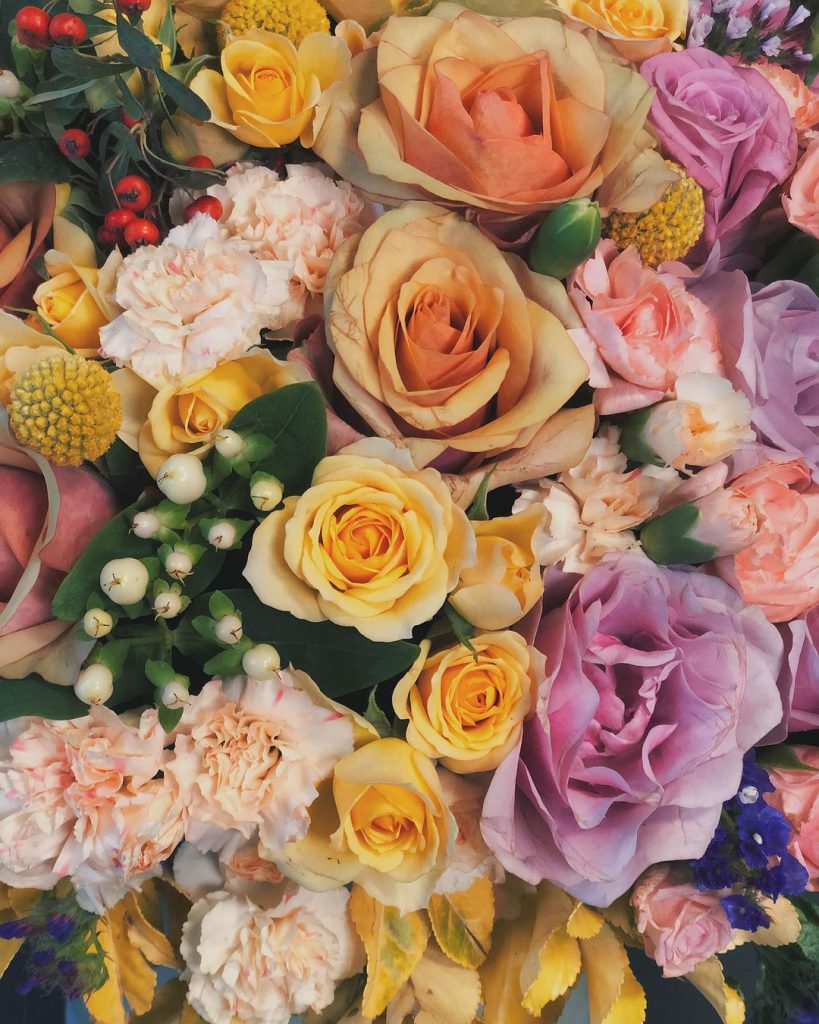 گل چیست 🌸 50 عکس انواع گل زیبا جذاب آپارتمانی زیبا